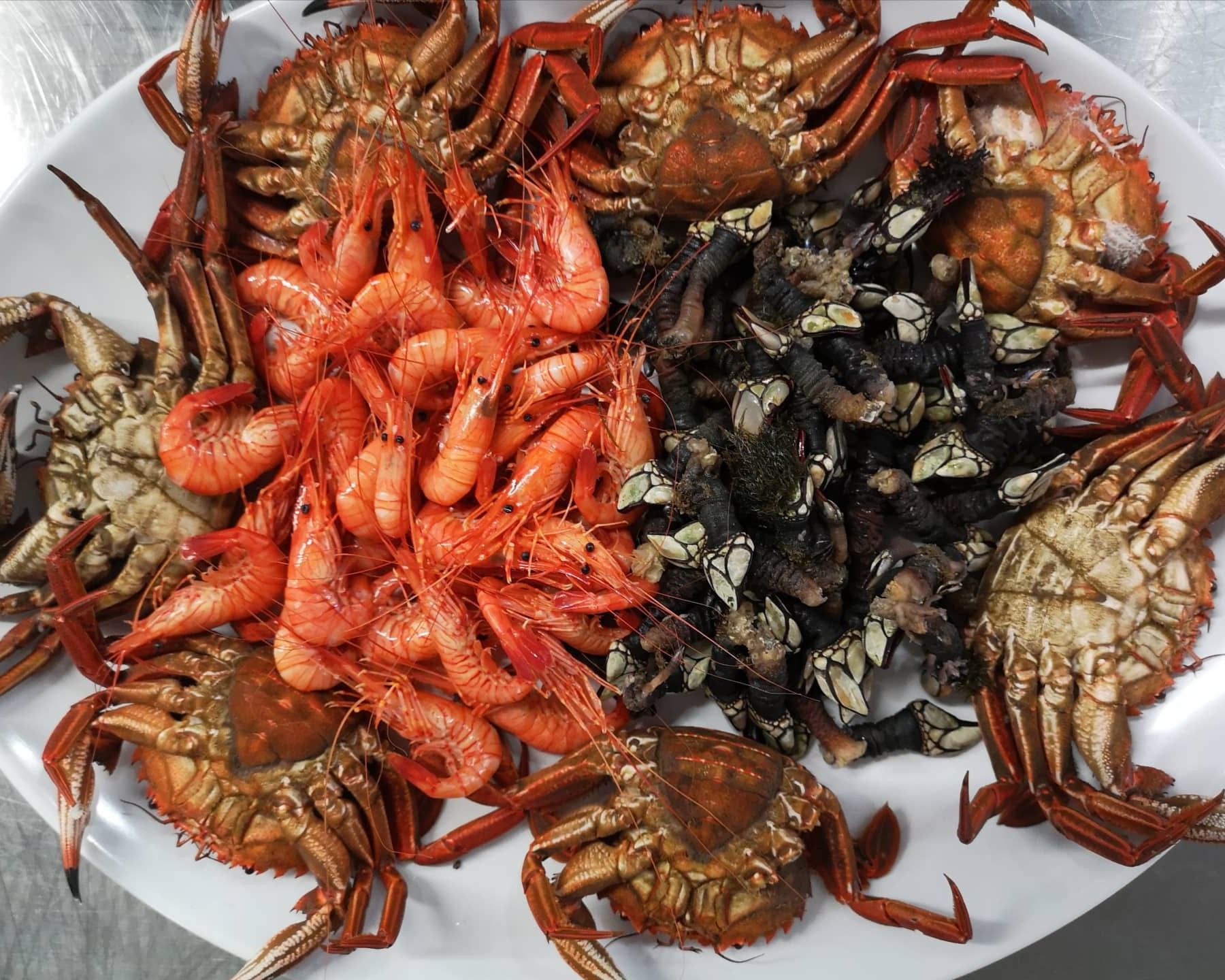 Dez restaurantes para provar o melhor marisco, com três sugestões no ...