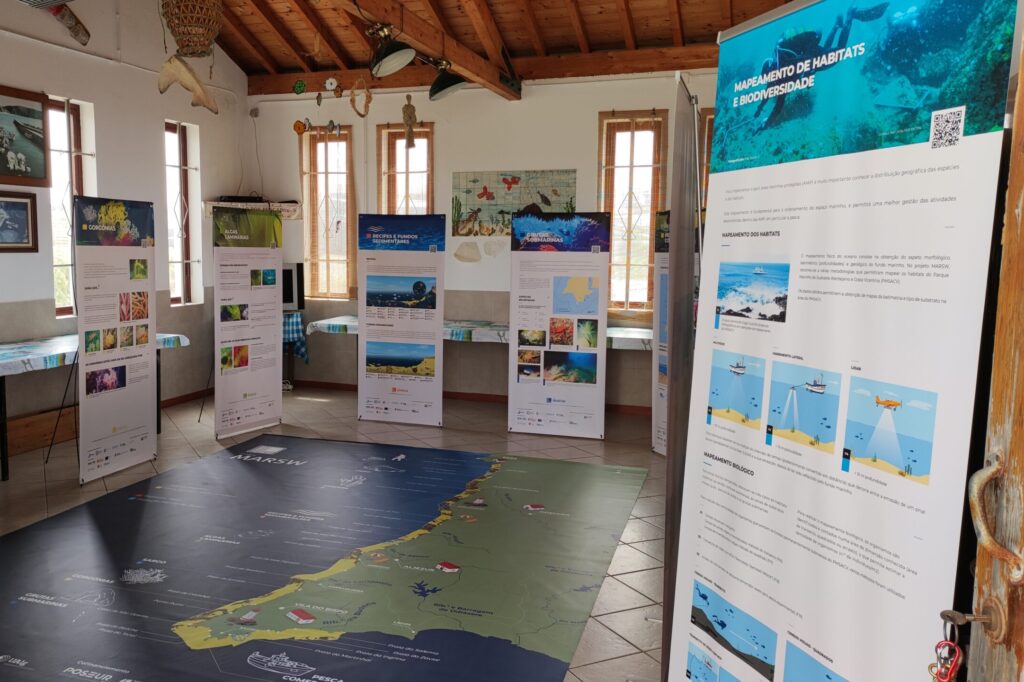 Pescadores da costa sudoeste mais conscientes da importância de áreas ...