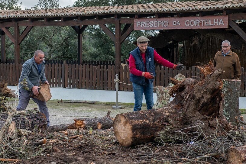 O acender do Madeiro de Natal na Serra do Caldeirão é tradição que vale ...
