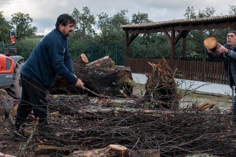 O acender do Madeiro de Natal na Serra do Caldeirão é tradição que vale ...