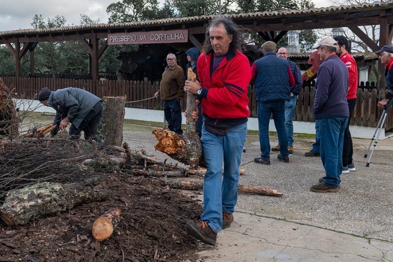 O acender do Madeiro de Natal na Serra do Caldeirão é tradição que vale ...