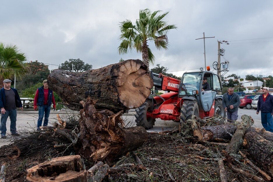 O acender do Madeiro de Natal na Serra do Caldeirão é tradição que vale ...