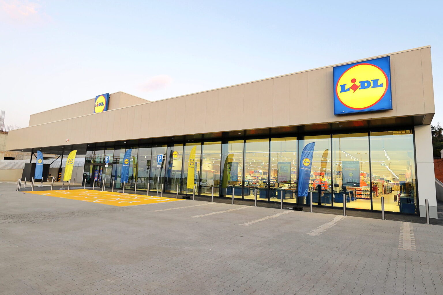 Praia ou campo? Estes sacos térmicos do Lidl prometem manter a comida ...