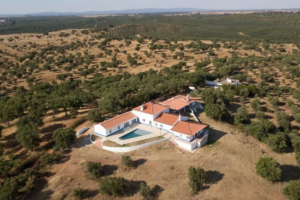 Esta quinta no Alentejo está a ser vendida ao mesmo preço que um ...