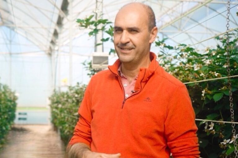 SR Berry destaca-se no Algarve como referência em agricultura ...