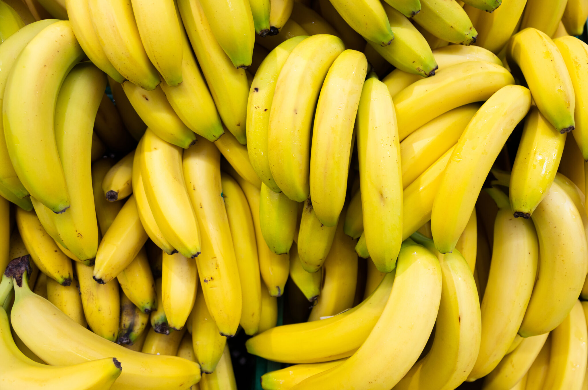 Nem frigorífico nem fruteira: descubra o local ideal para prolongar a ...