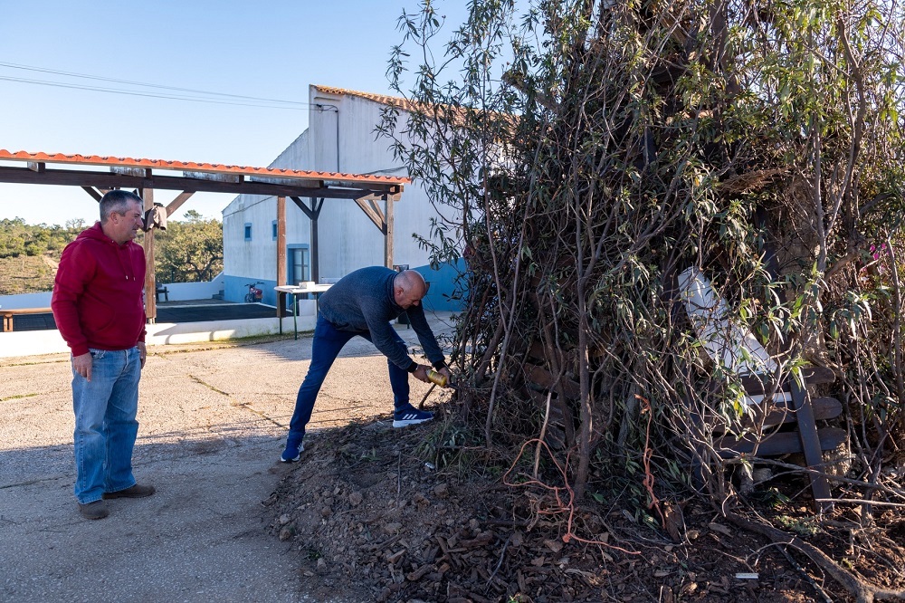 Madeiro de Natal volta a juntar moradores e visitantes na Cortelha - Postal