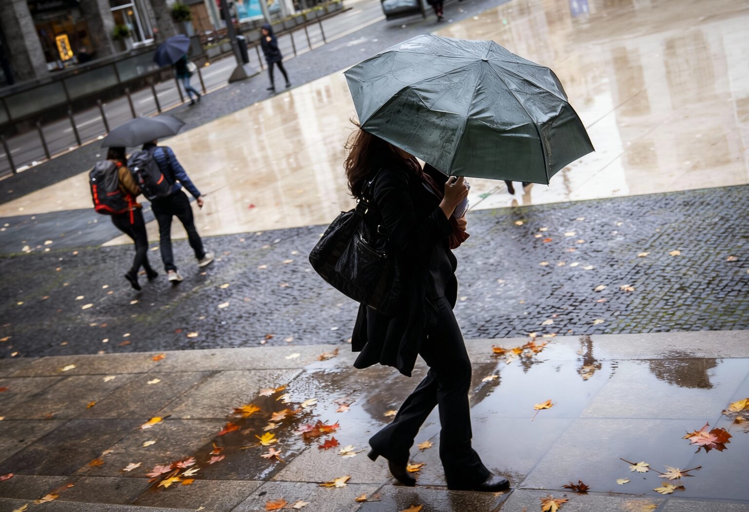 Depressão Francis em Portugal: chuva 'a potes' e rajadas de vento de 80 ...